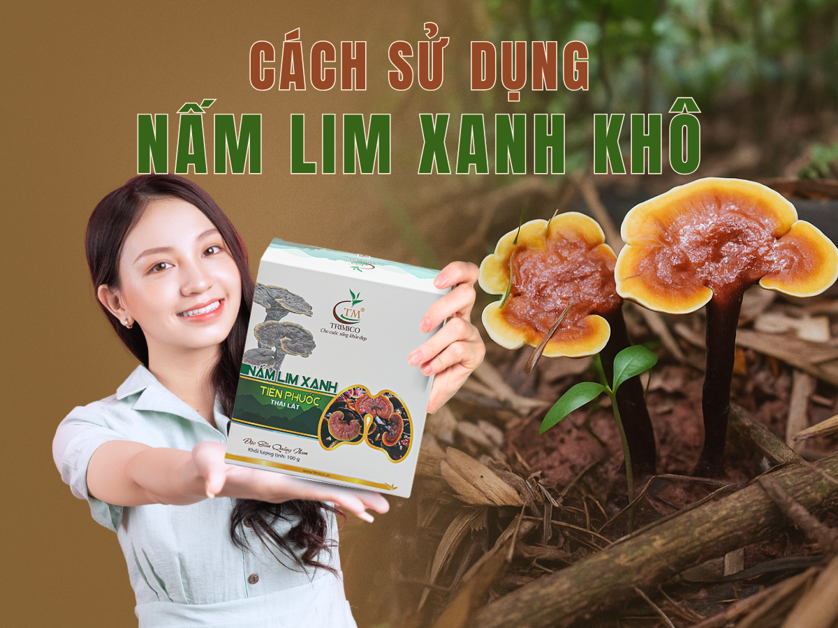 Cách sử dụng nấm Lim Xanh khô đúng - hiệu quả
