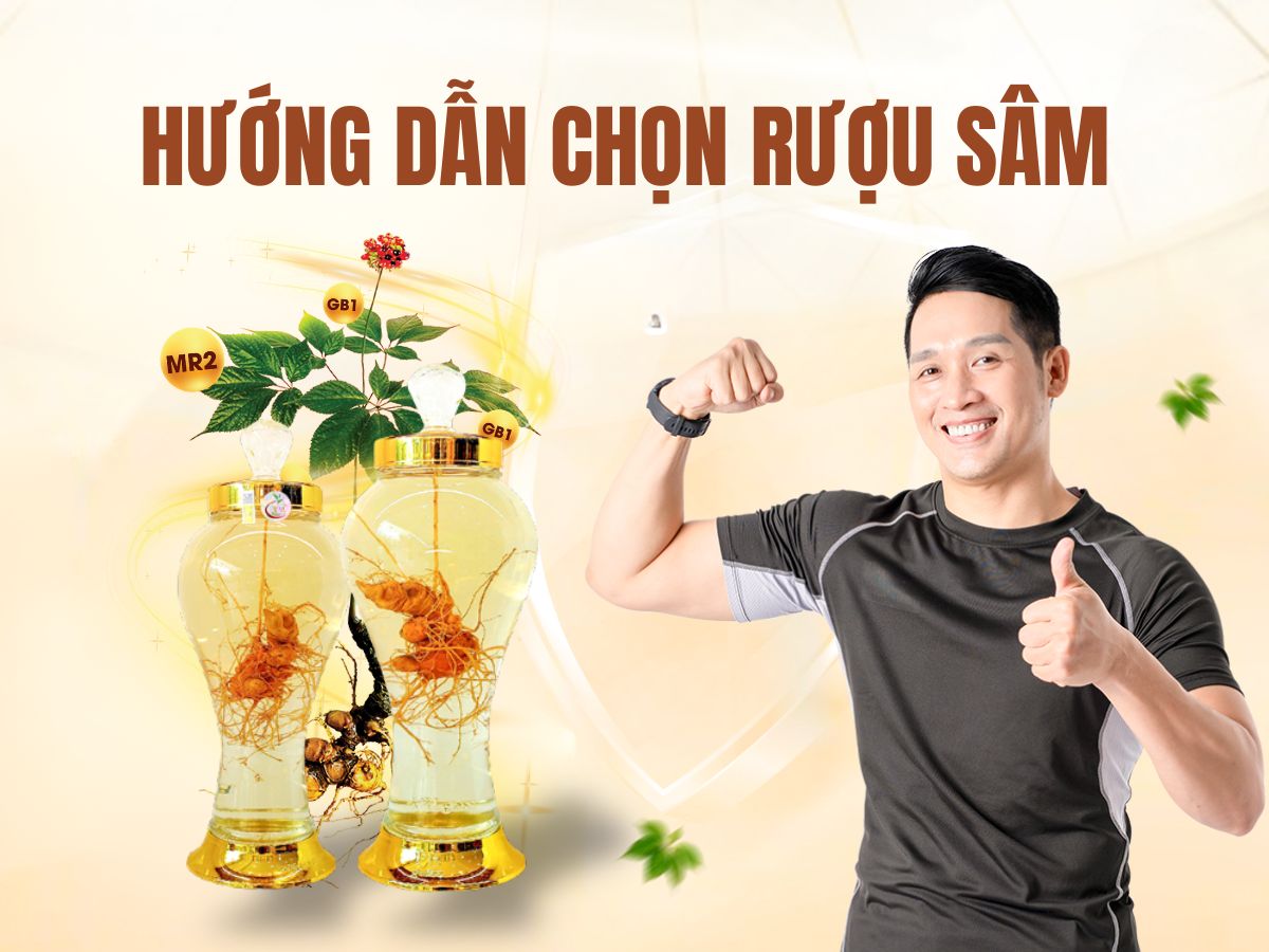 Hướng dẫn chọn bình rượu sâm Ngọc Linh ngon đúng chuẩn